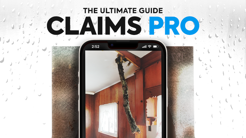 The Ultimate Guide to Succeeding as a Claims Adjuster (Free Download)